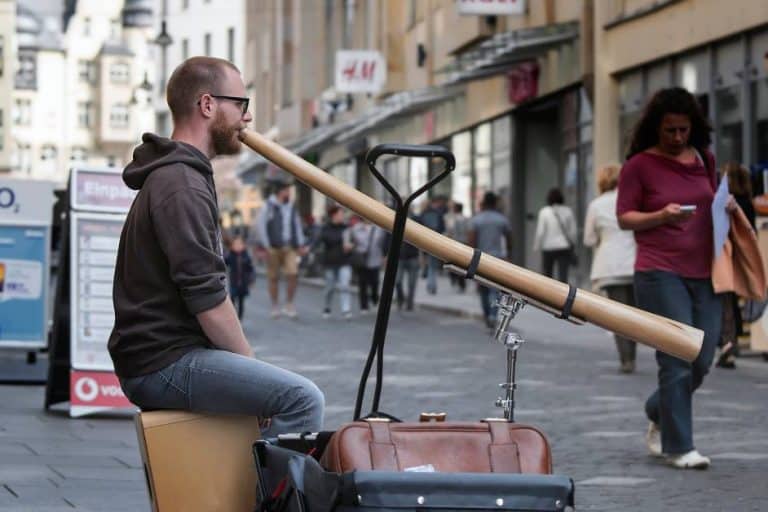 19+ Musical Instruments That Start With D